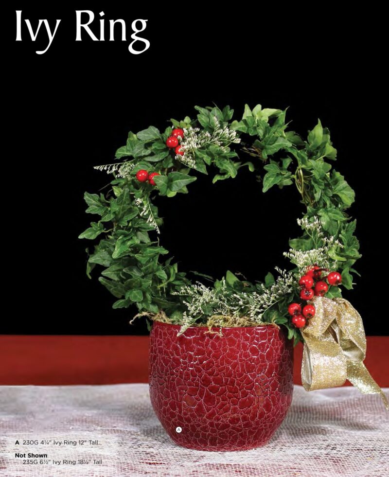 Live Ivy Ring Christmas Topiary Plant - TOPIARYTREE.NET