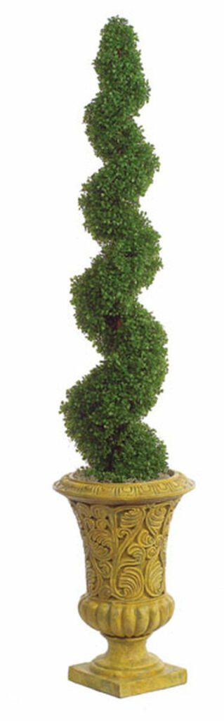 5 Foot Boxwood Spiral Topiary with Copper Pipe Trunk - TOPIARYTREE.NET