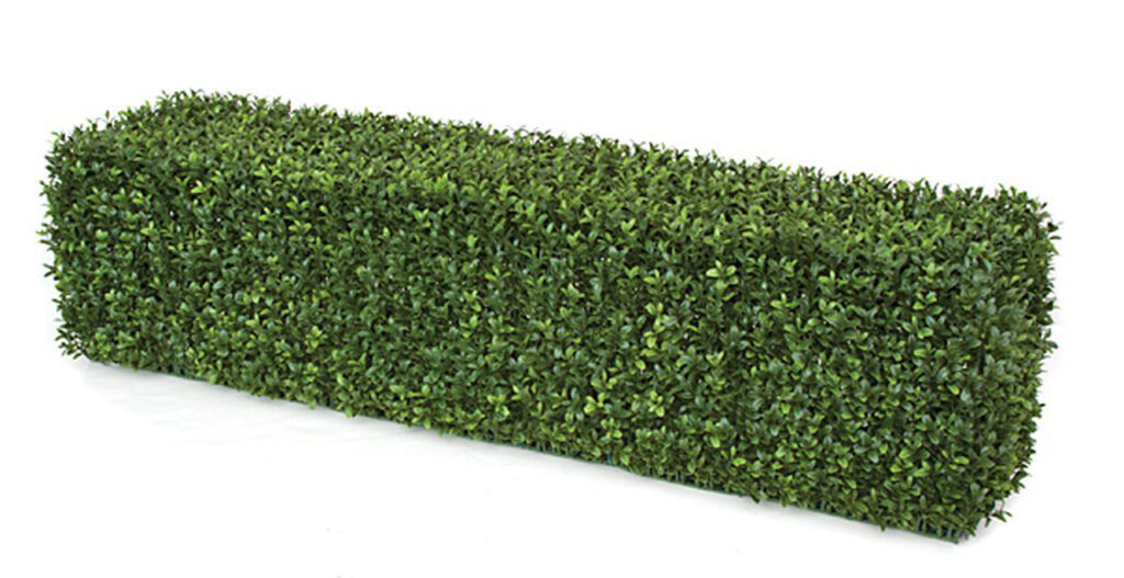 48 and 12 and 12 inch Ultraviolet (UV) Boxwood Hedge – TOPIARYTREE.NET