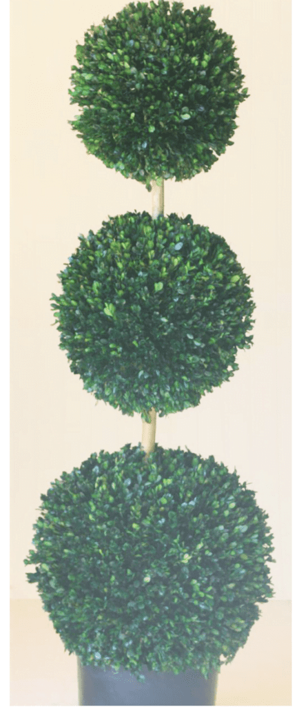60 inch Tall Triple Preserved Ball Boxwood Topiary - TOPIARYTREE.NET