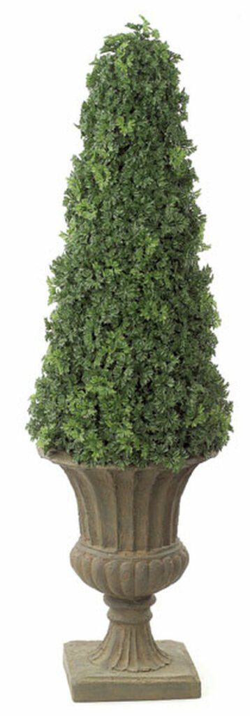 53 inch Polyblend Ming Aralia Cone Topiary - TOPIARYTREE.NET