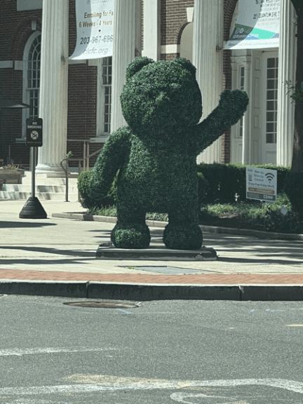 Topiary Bears - TOPIARYTREE.NET