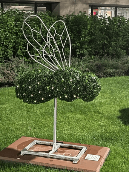 Topiary Bumble Bee's Covered in Moss or Outdoor Boxwoods - TOPIARYTREE.NET