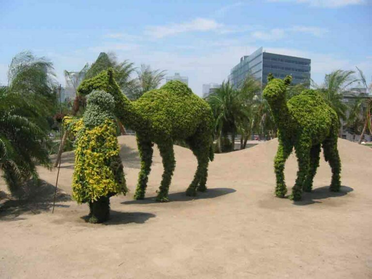 How to Make an Animal Topiary for Your Garden? - TOPIARYTREE.NET