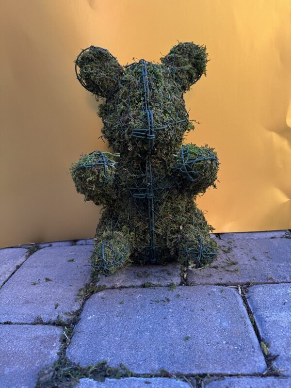 Sitting Topiary Bear! – Sphagnum Mossed from Oregon (14 x 8.5 x 9.5) HWD – TOPIARYTREE.NET